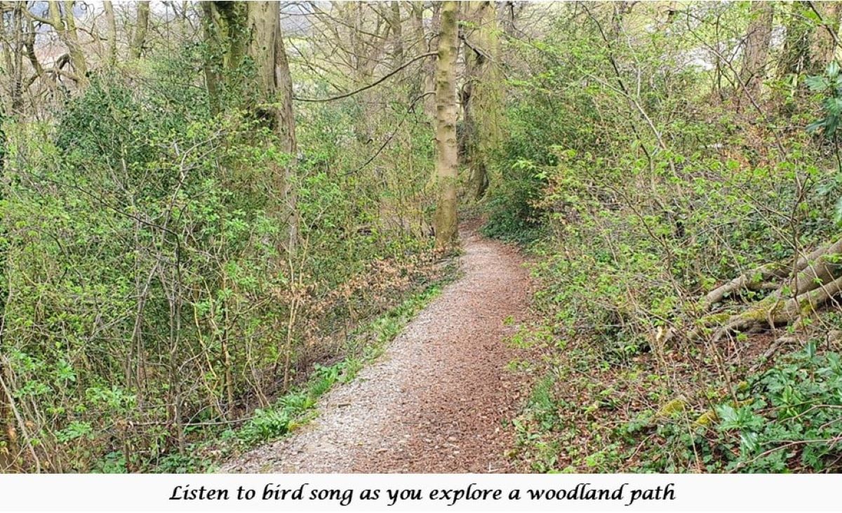 Visit Settle - Tranquillity